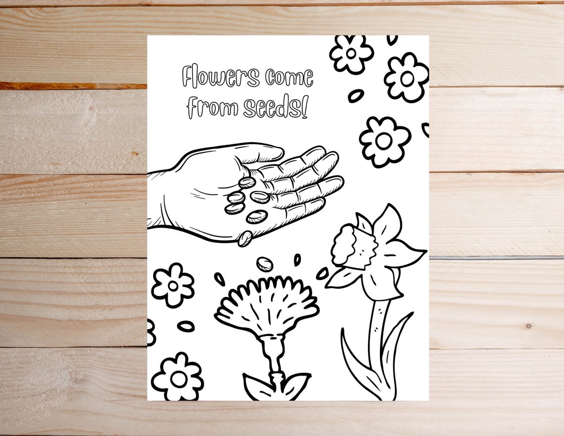 Printable Spring Themed Coloring Pages | Printable Coloring Activity - Etsy
