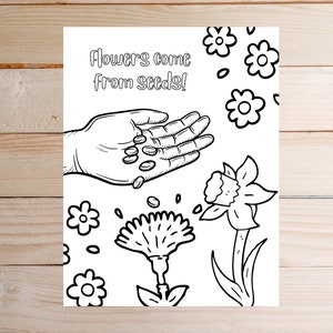 Printable Spring Themed Coloring Pages | Printable Coloring Activity - Etsy