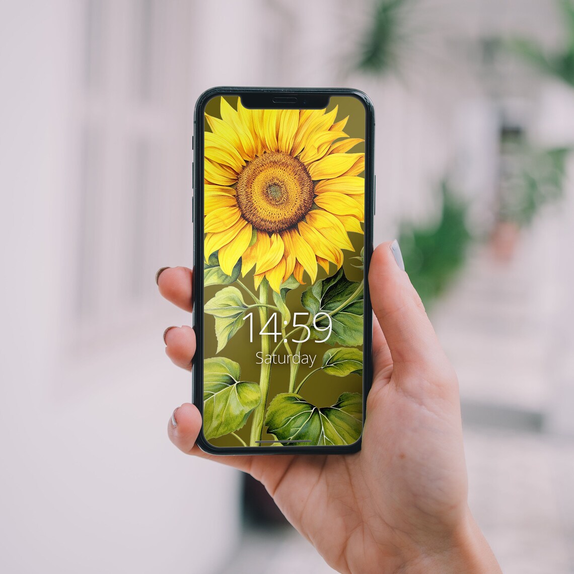 Sunflower Splendor: PNG Clipart Set of 18 Watercolor Paintings Digital ...