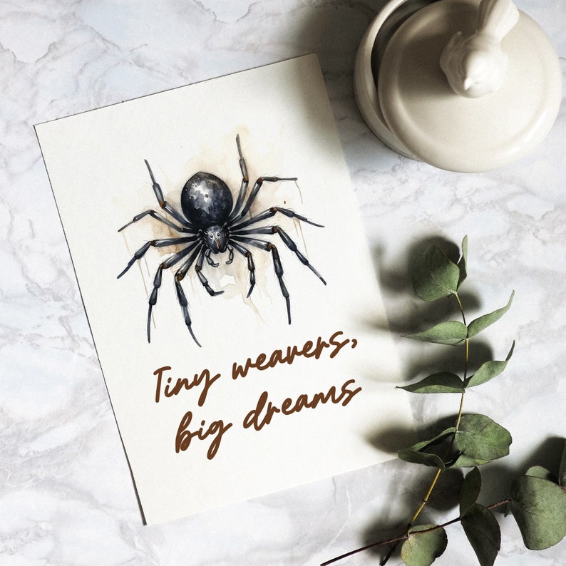 Spider Spectacle PNG Clipart Set of 20 - Commercial Use, 300dpi ...