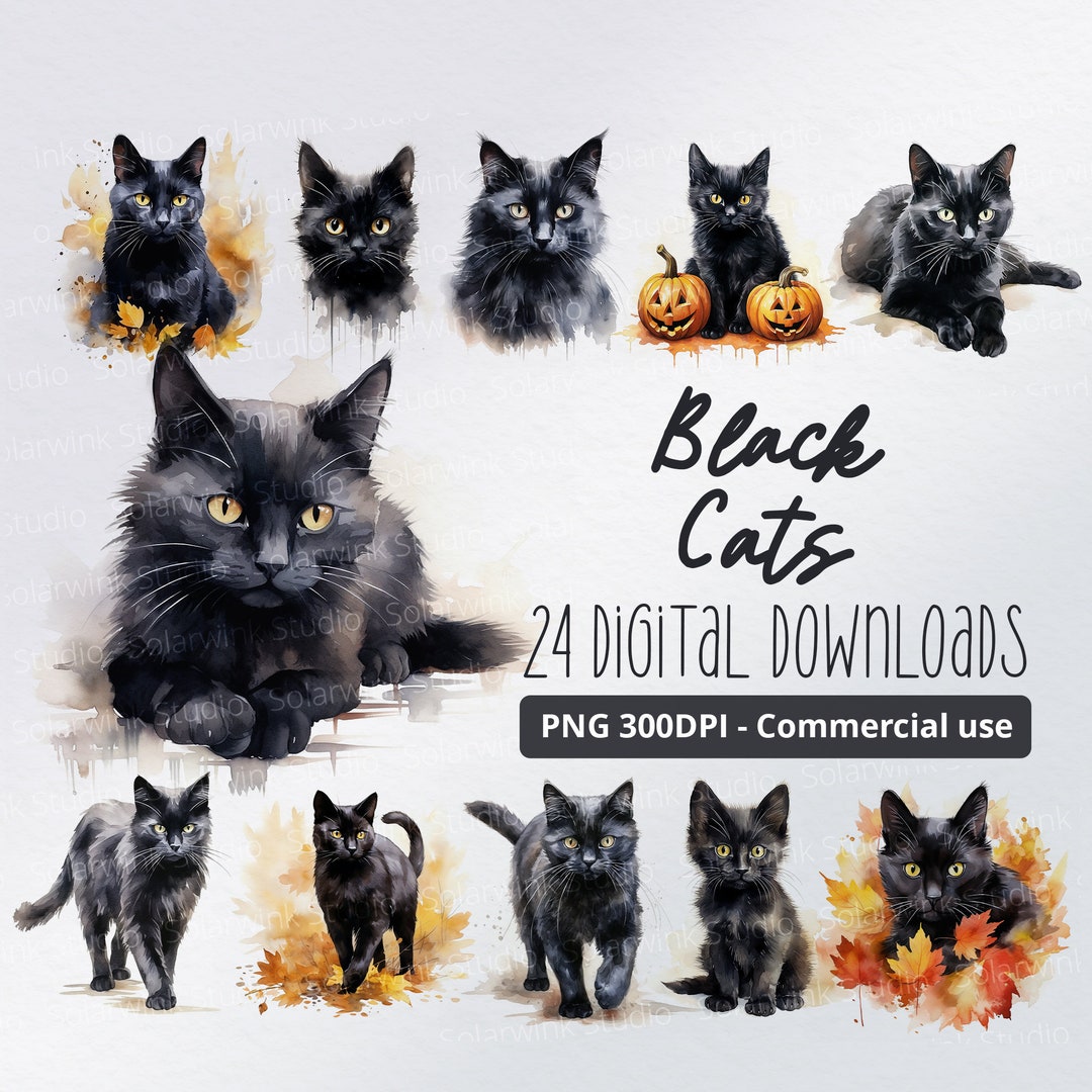 Black Cats PNG Clipart Set of 24 Commercial Use, 300dpi, Noir ...