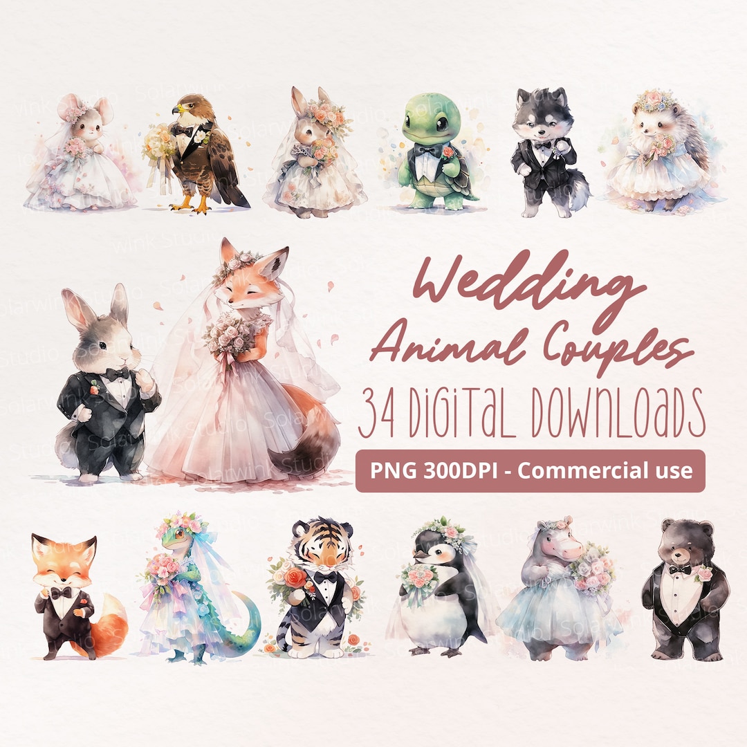 Cute Wedding Animals PNG Clipart Set of 34 - Commercial Use, 300DPI ...