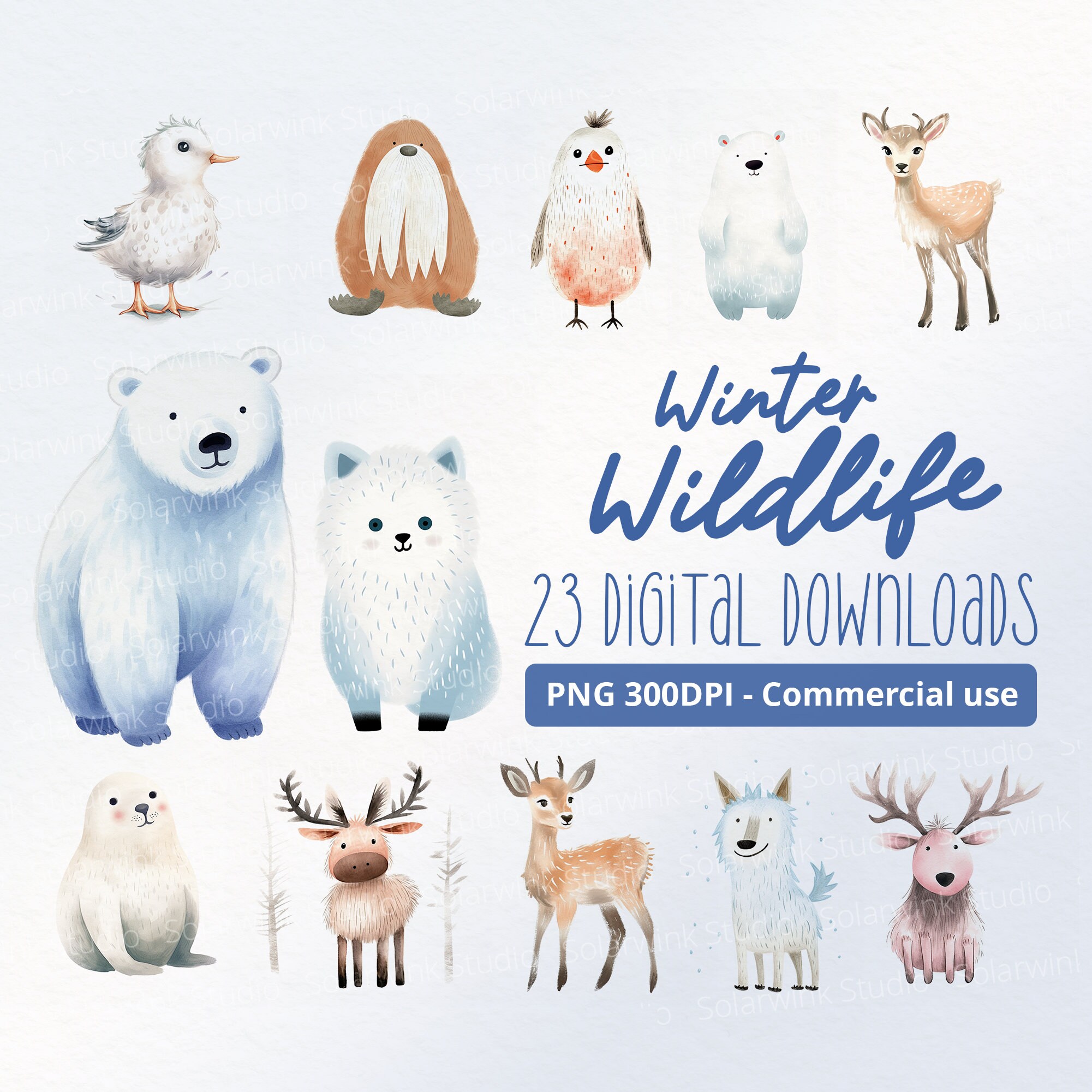 Cute and Cozy Winter Animal Illustrations - 23 Png's, Clipart ...