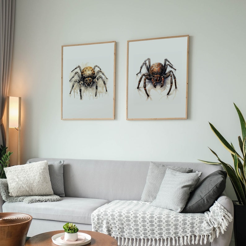 Spider Spectacle PNG Clipart Set of 20 - Commercial Use, 300dpi ...