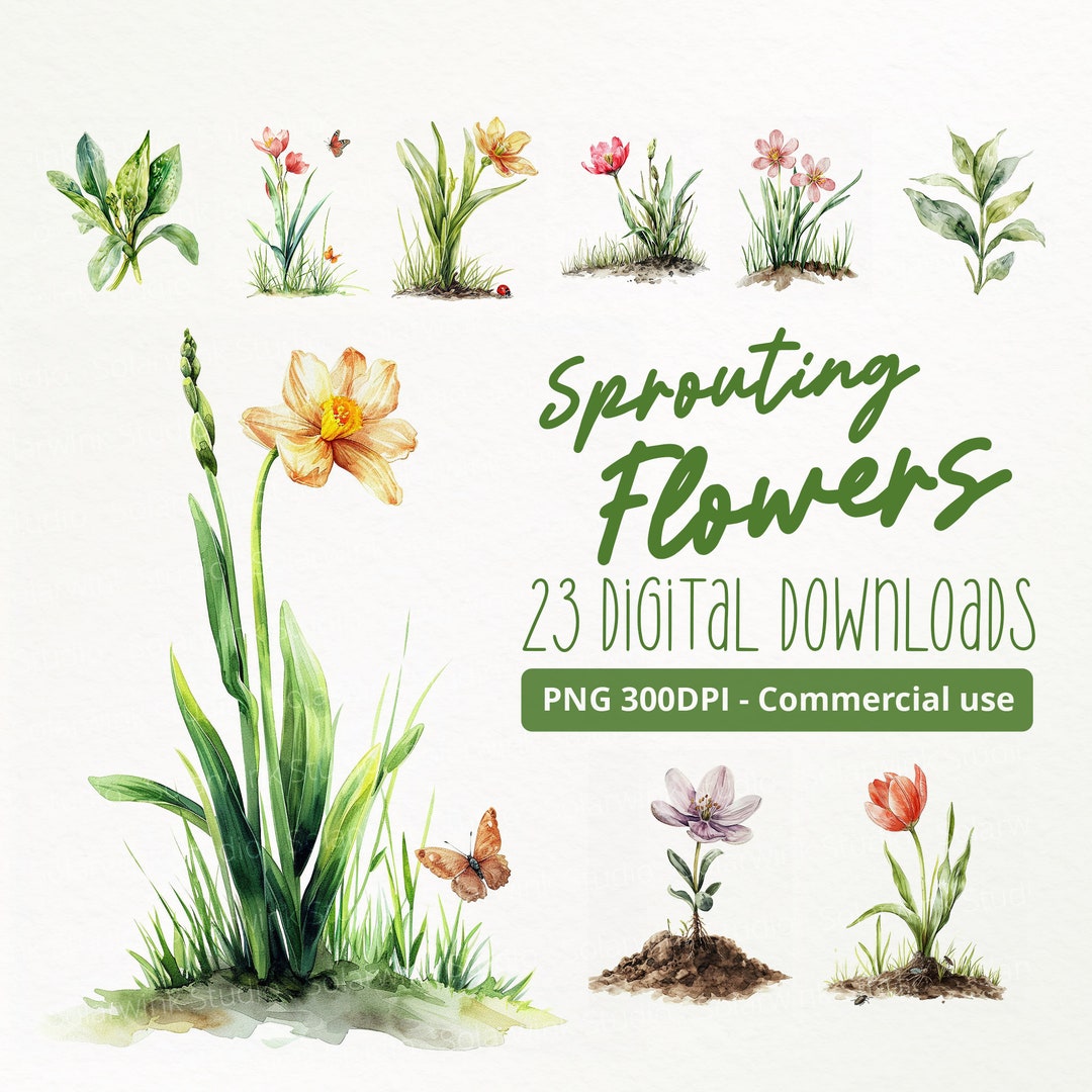 Sprouting Flowers: 23 PNG Downloads for Commercial Use. Spring ...