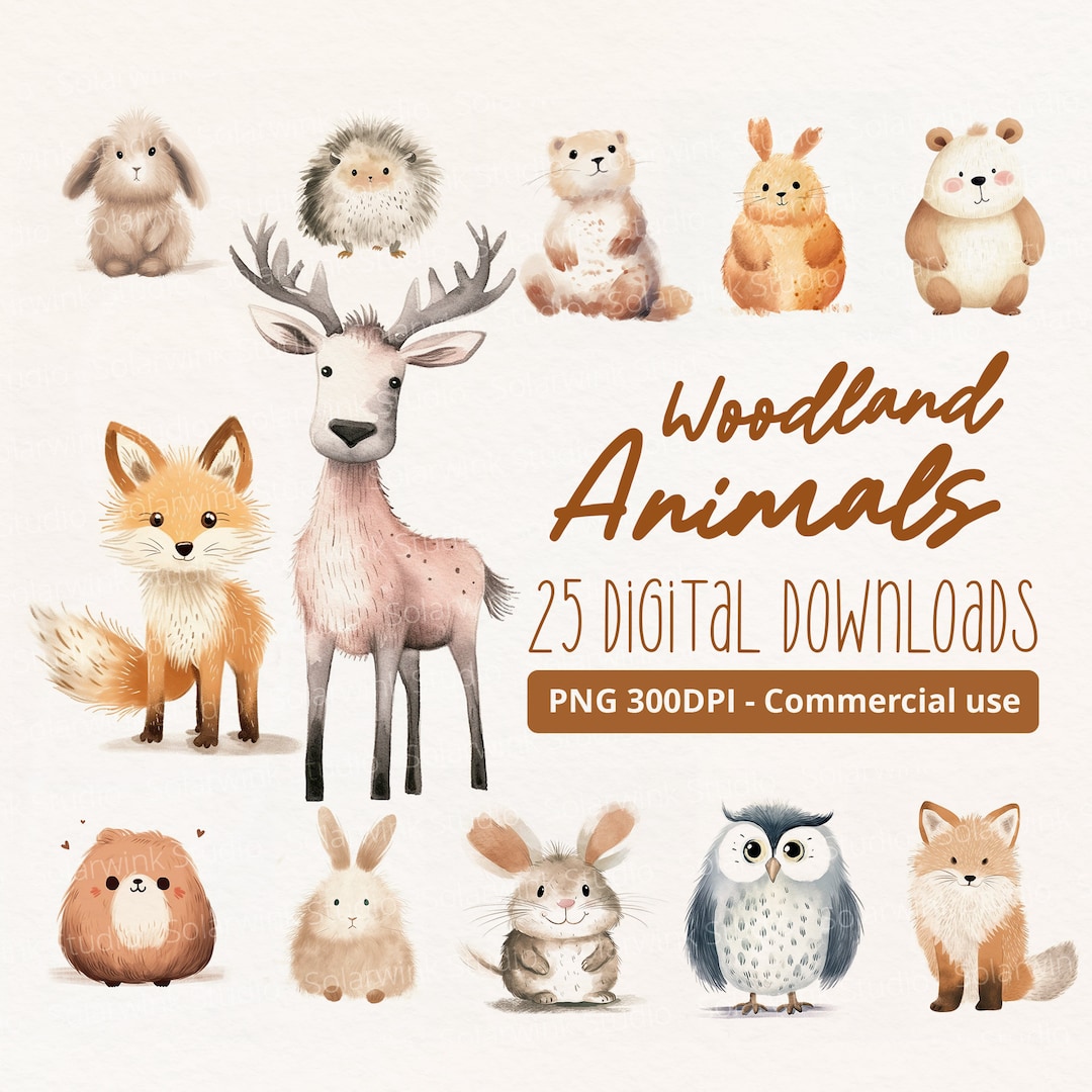 Cute Woodland Animal Illustrations: 25 Pencil-drawn Pngs - Commercial ...