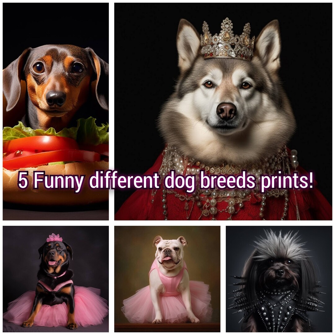 5 Funny Dogs - Etsy