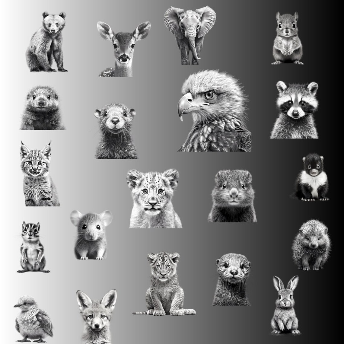 Black and White Woodland Animal Clipart, Animal Clipart for Nursery ...