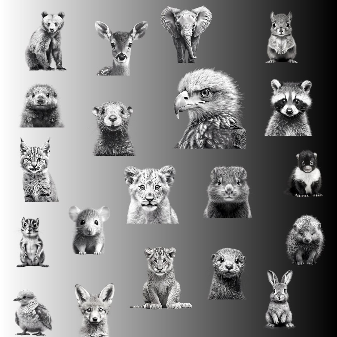 Black and White Woodland Animal Clipart, Animal Clipart for Nursery ...
