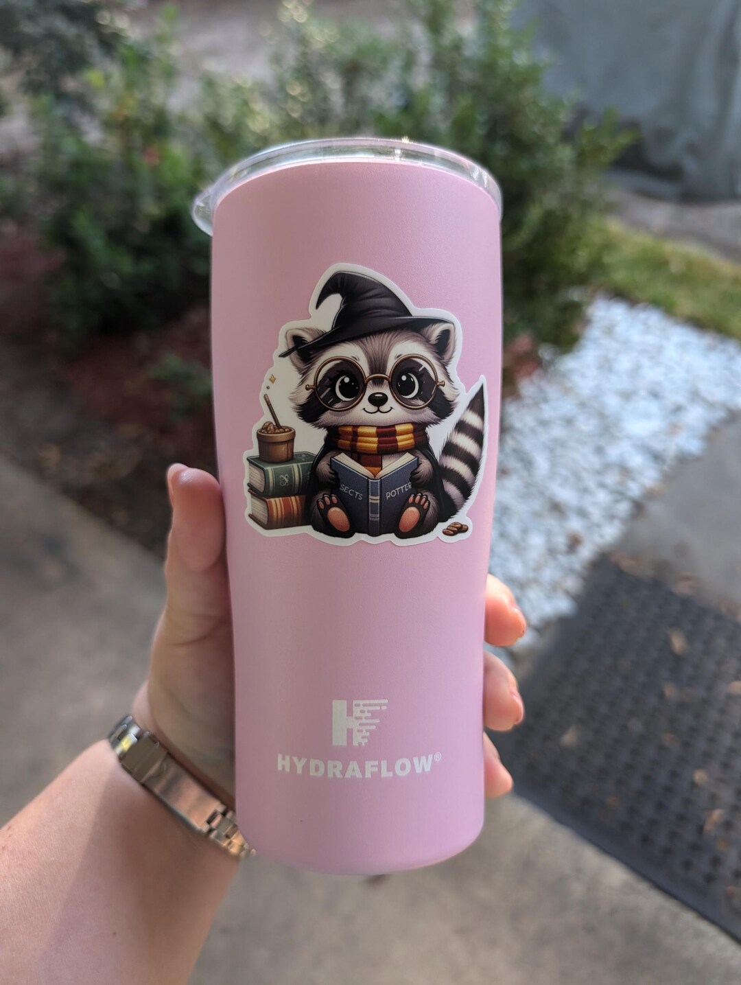 Adorable Raccoon Vinyl Stickers, Cute Sticker Pet Decals, Pet Best ...
