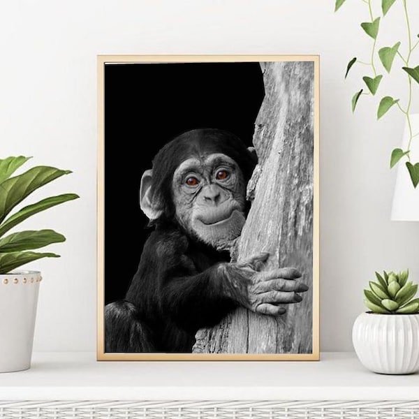 Chimpanzee Art - Etsy