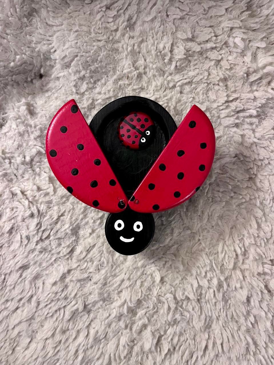 Vintage Wood Ladybug Box Opening at Wings With Baby Ladybug Secret Wood ...