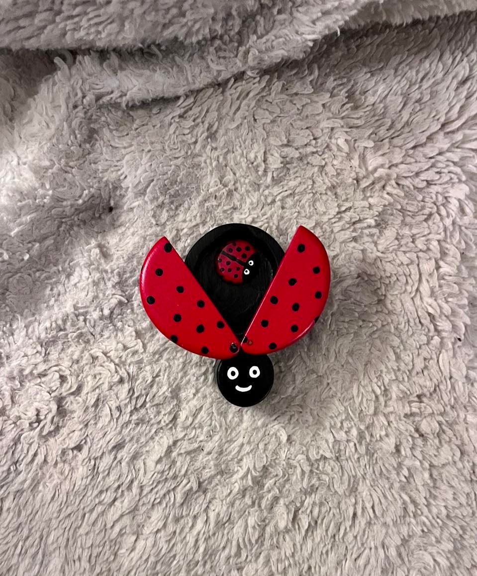 Vintage Wood Ladybug Box Opening at Wings With Baby Ladybug Secret Wood ...