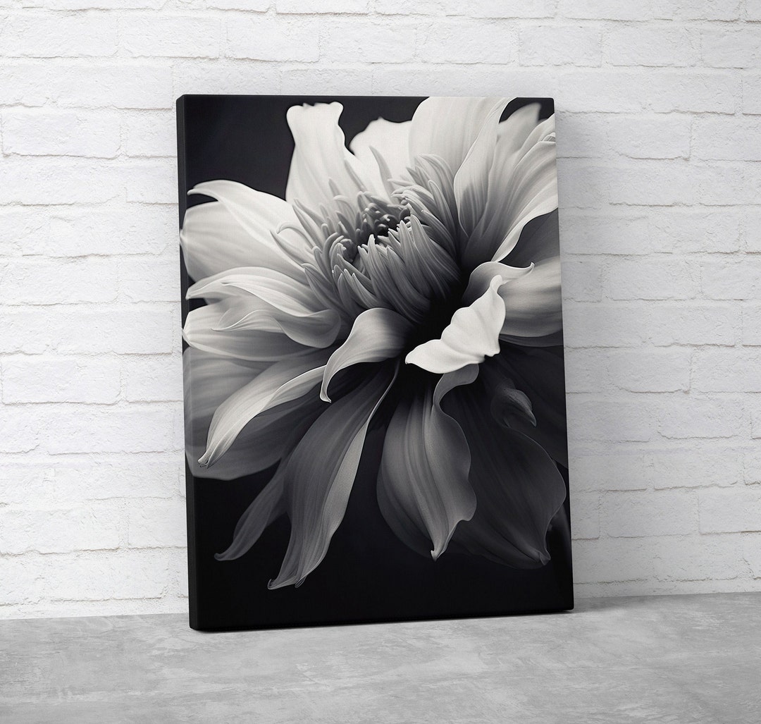 Monochrome Dahlia Close up Canvas Print Black & White Flower Fine Art ...