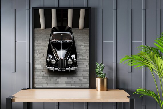 Jaguar car decoration store