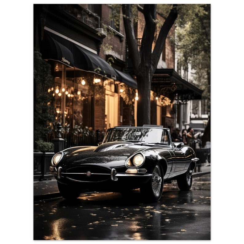 1963 Jaguar E-type Roadster Color Poster Elegant Car Art Jaguar Wall ...
