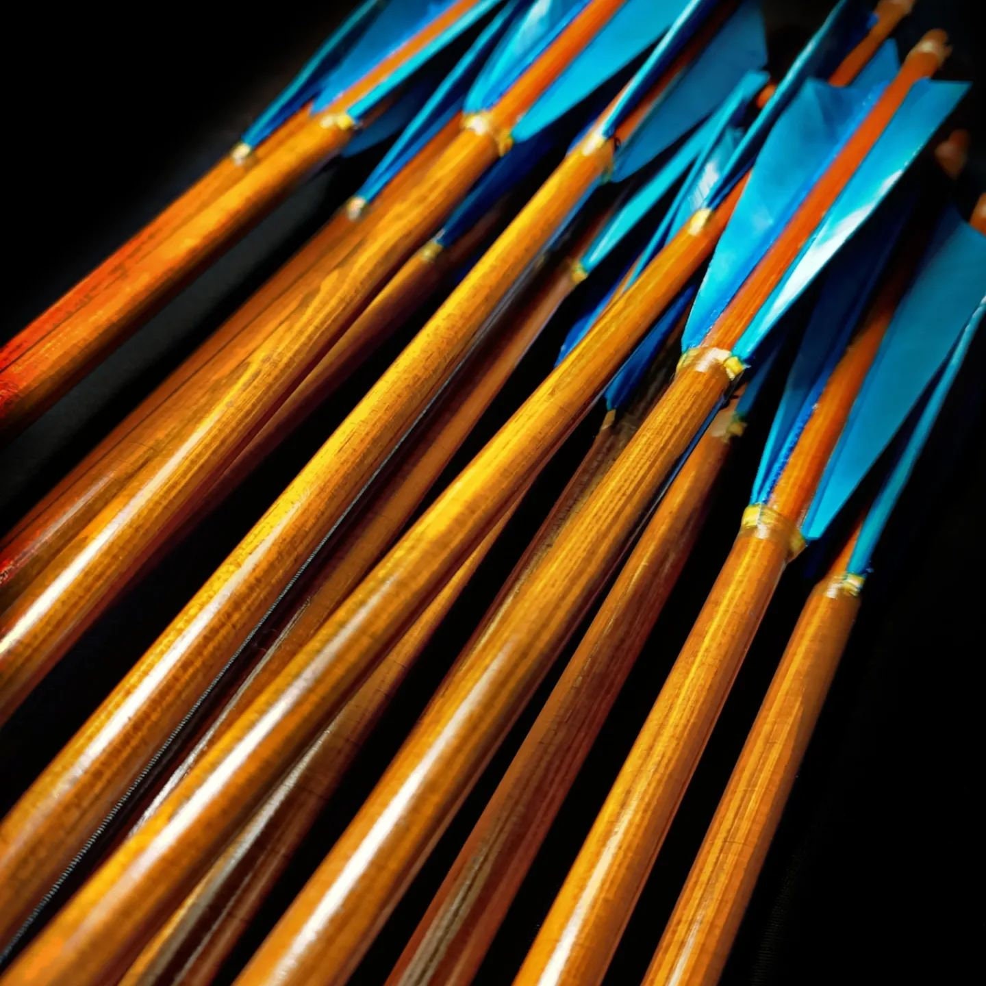 Special Shield Cut Maned Traditional Arrows - 10 Piece (ABY Archery ...