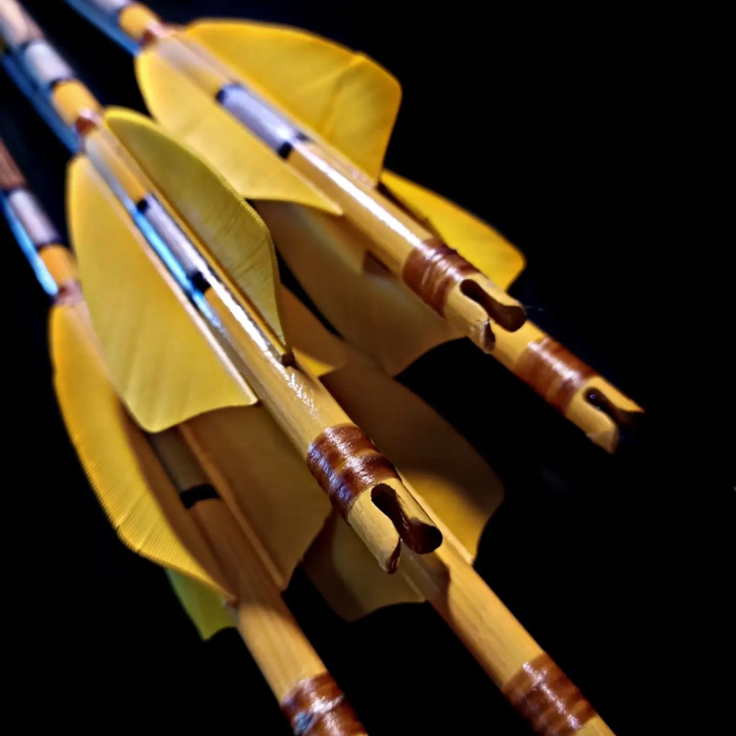 HUNTER ARROW - Special Parabolic Maned Traditional Hunter Arrows - 12 ...