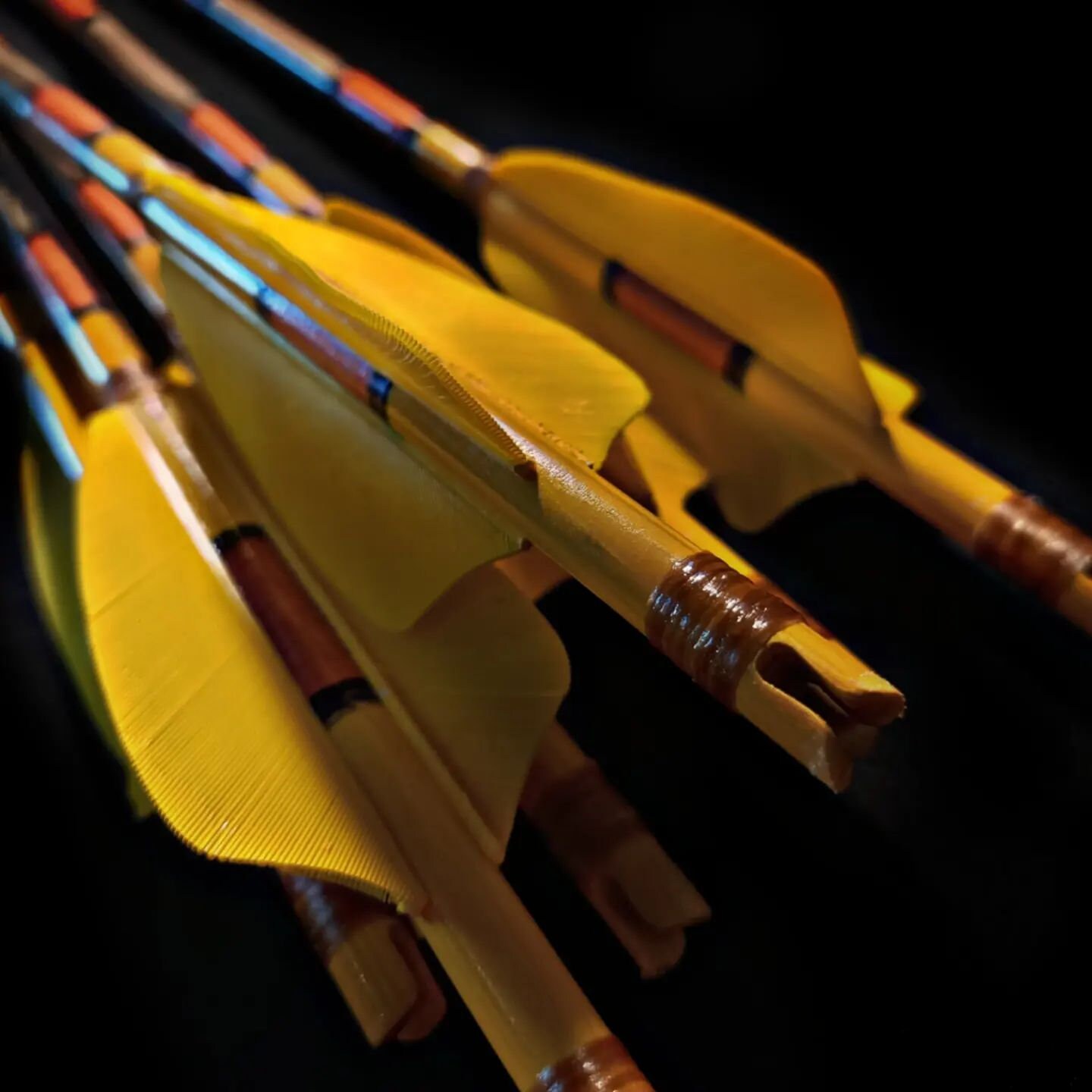 BATTER ARROW Special Shield Cut Maned Batter Arrows - 12 Piece (ABY ...