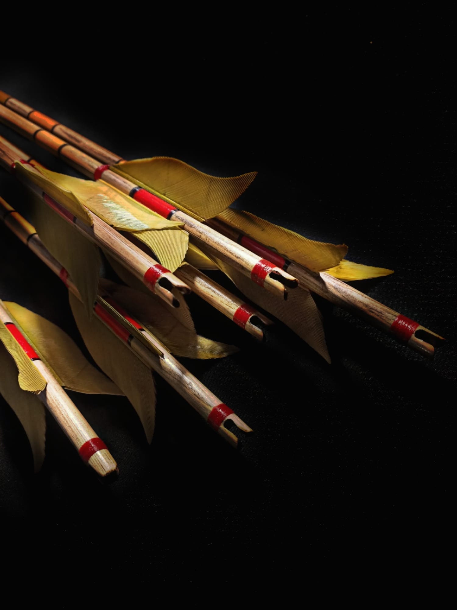 Special Khaki Tulip Maned Traditional Arrows 12 Piece ABY Archery ...