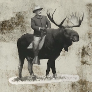 Theodore Roosevelt Riding a Moose Sticker - Etsy
