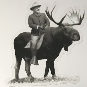 Theodore Roosevelt Riding a Moose Sticker - Etsy