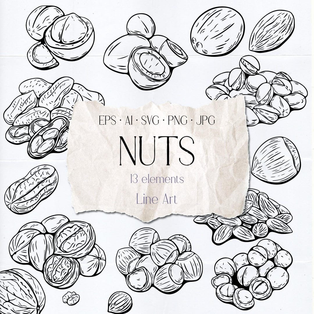 Nuts Line Art Clipart Set | Black and White Hand-drawn Nut ...