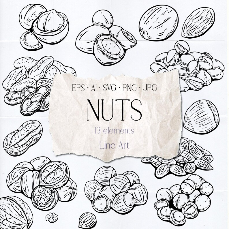 Nuts Line Art Clipart Set | Black and White Hand-drawn Nut ...