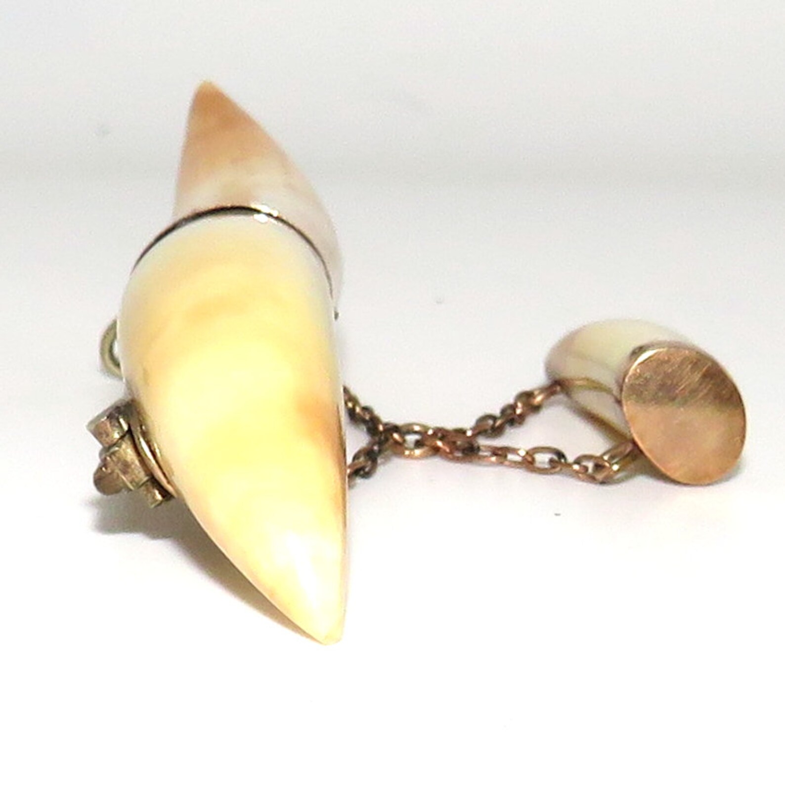 Victorian Animal Tooth Pin With Two Large and One Small Tooth - Etsy