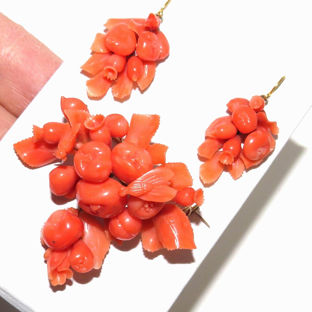 Flies on Victorian Carved Coral Leaf, Flower, and Fruit Pin and ...