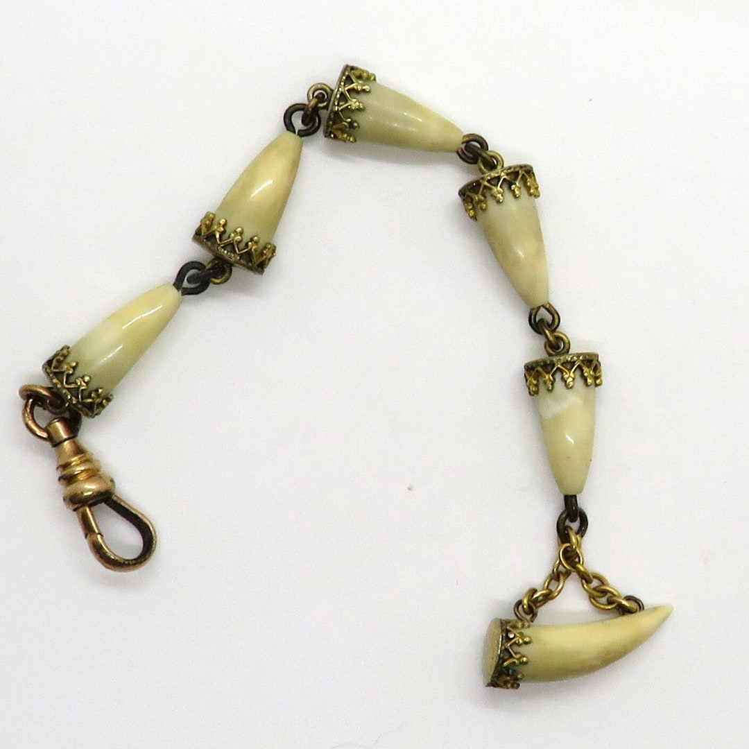 Victorian Animal Tooth Watch Chain and Fob - Etsy