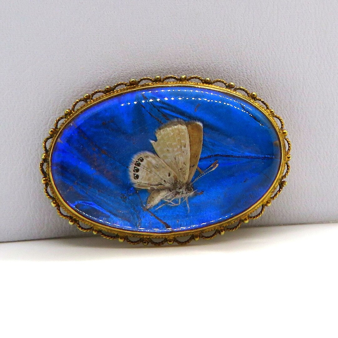 Vintage 18 K Gold Small Blue Butterfly on Morpho Butterfly Wing Pin - Etsy