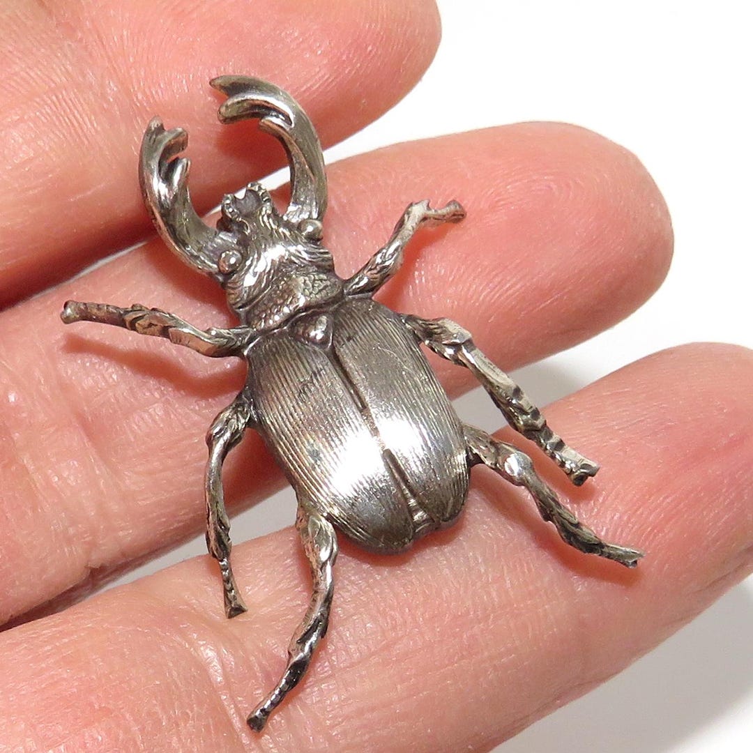 Beau Sterling Stag Beetle Pin - Etsy