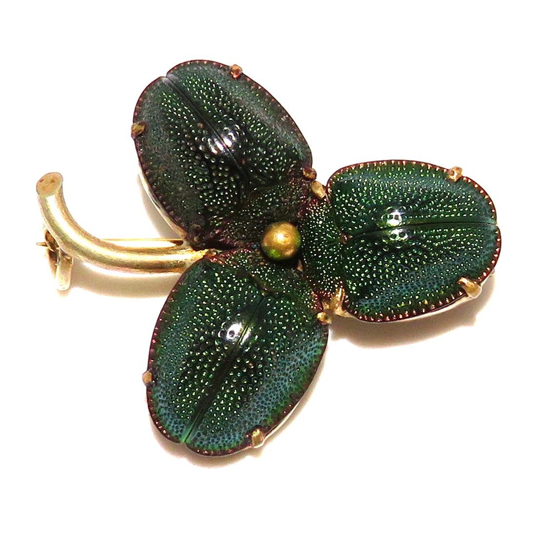 Victorian Real Green Leaf Beetle Pin - Shamrock Design - Etsy