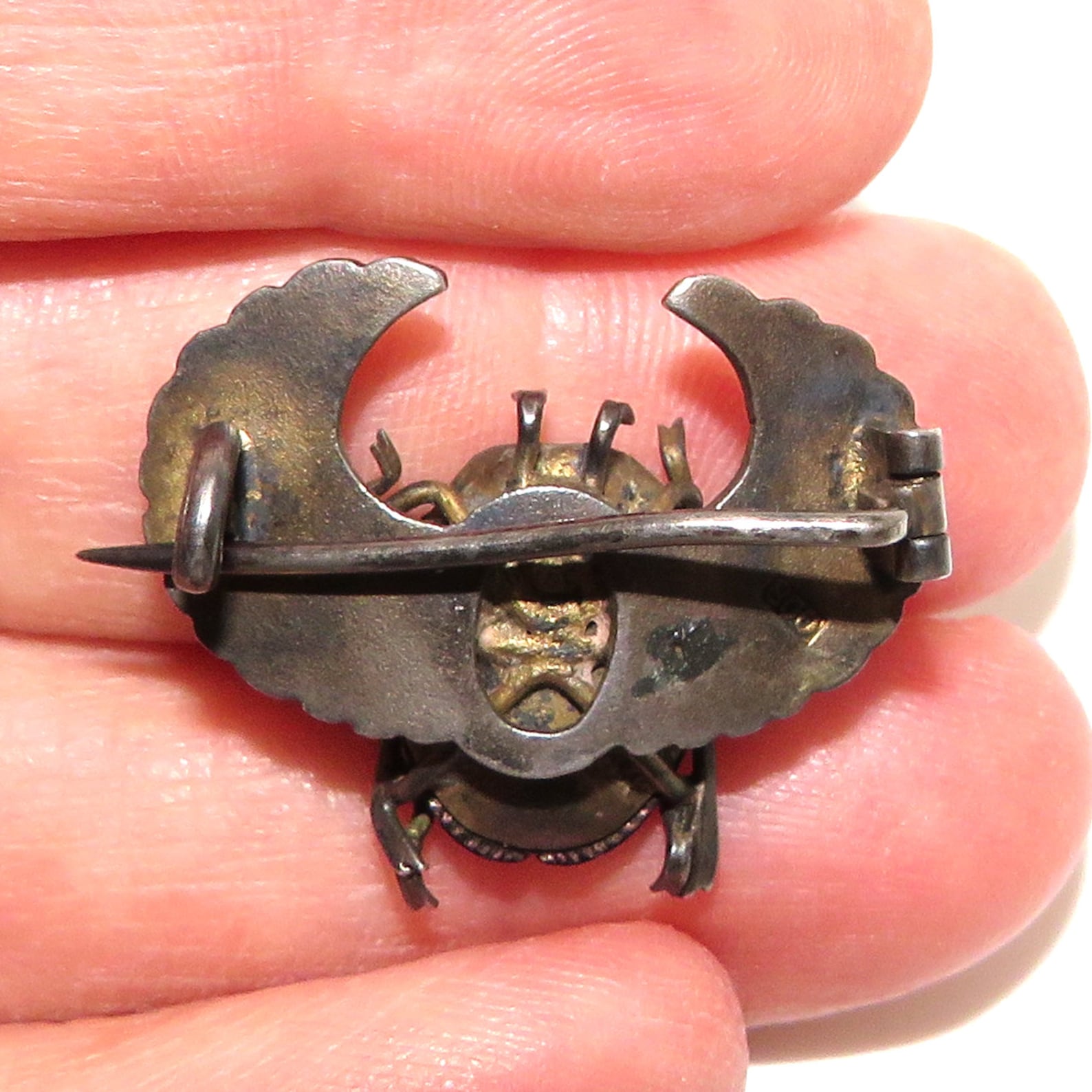 Victorian Silver Egyptian Revival Real Beetle Pin With Enameled Wings ...