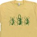 Bug Shirt Gen X Shirt Top Selling T Shirts Cicada Shirt Moth Shirt ...