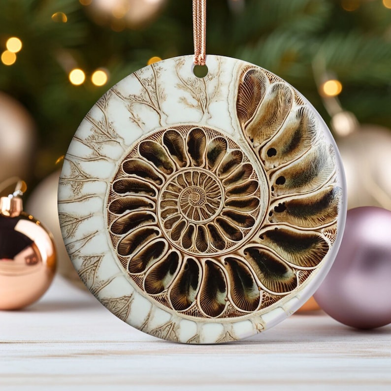 Elegant Christmas Ornament Madagascar Ammonite Home Decor Fossil ...