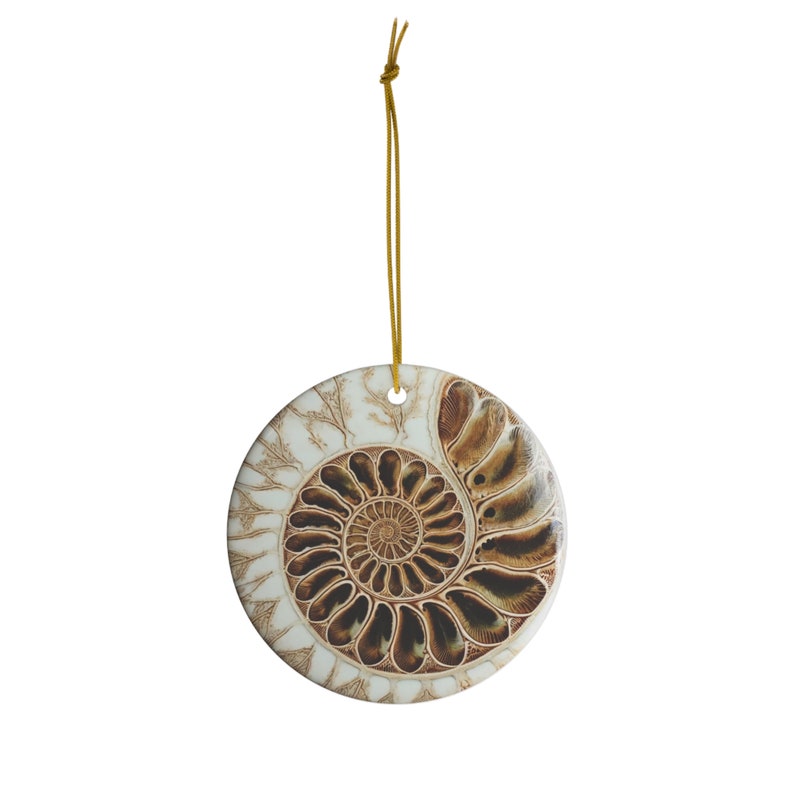 Elegant Christmas Ornament Madagascar Ammonite Home Decor Fossil ...