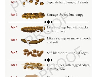 Human Feces Chart