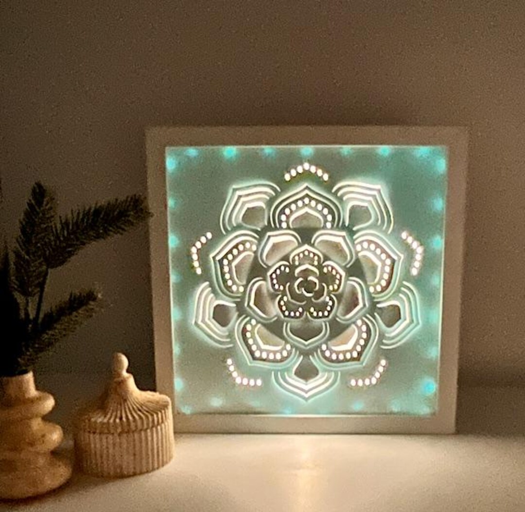 Succulent Backlit Shadow Box - Etsy