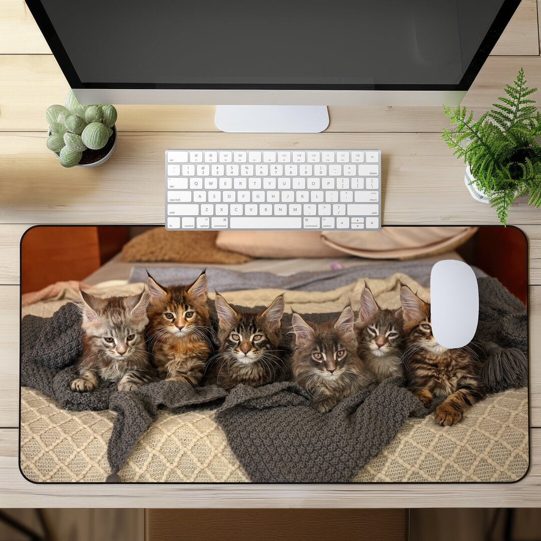 Maine Coon Kittens Desk Mat Cute Cats Mouse Pad Fluffy Kittens Desk Mat ...