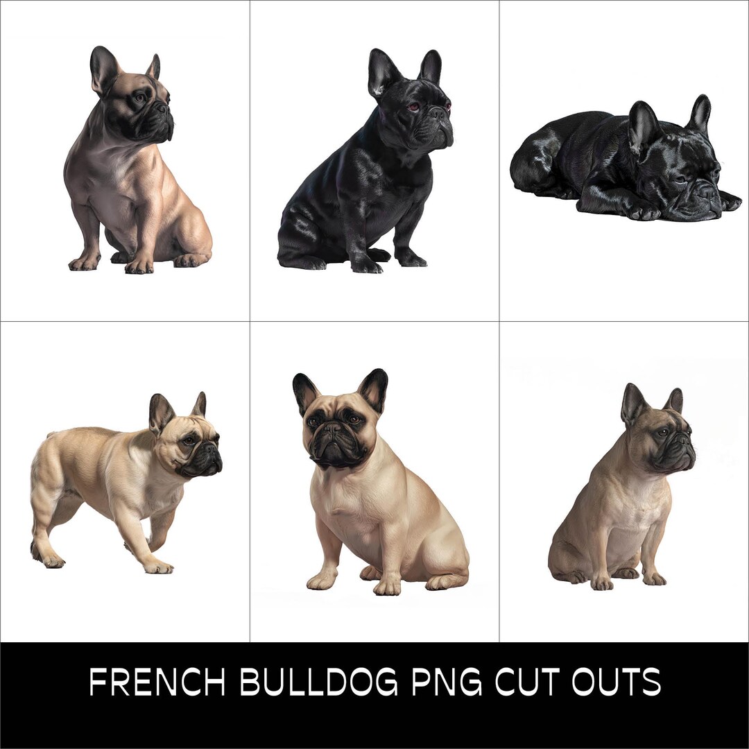 6 Realistic Dog Cutouts PNG: French Bulldog Entourage - Etsy