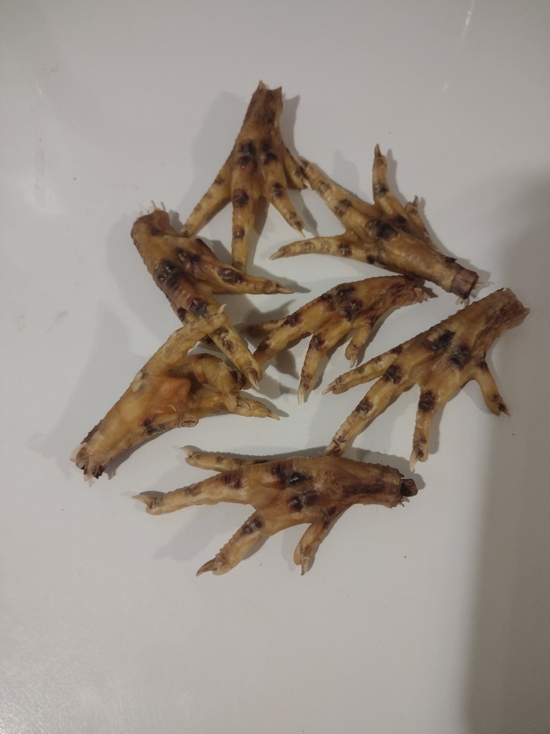 Chicken Foot Hoodoo Voodoo Wiccan Spell Work Dried Paw Claws Conjure - Etsy