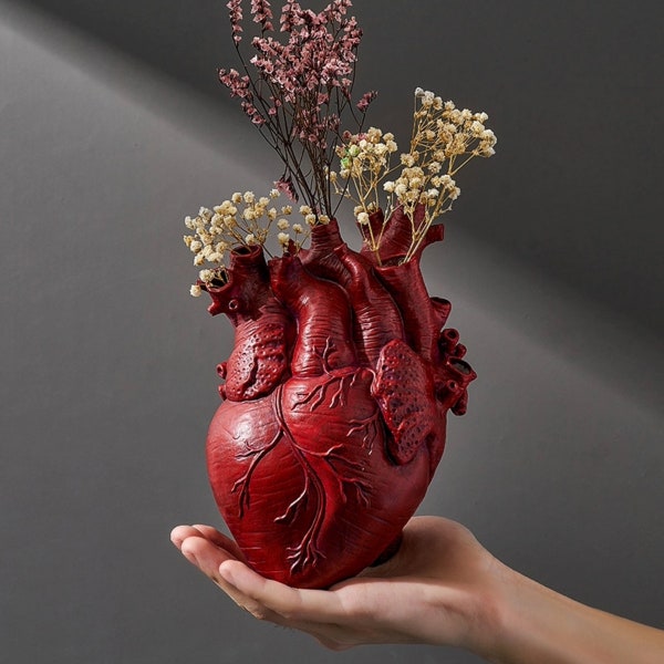 Anatomical Heart Vase - Etsy