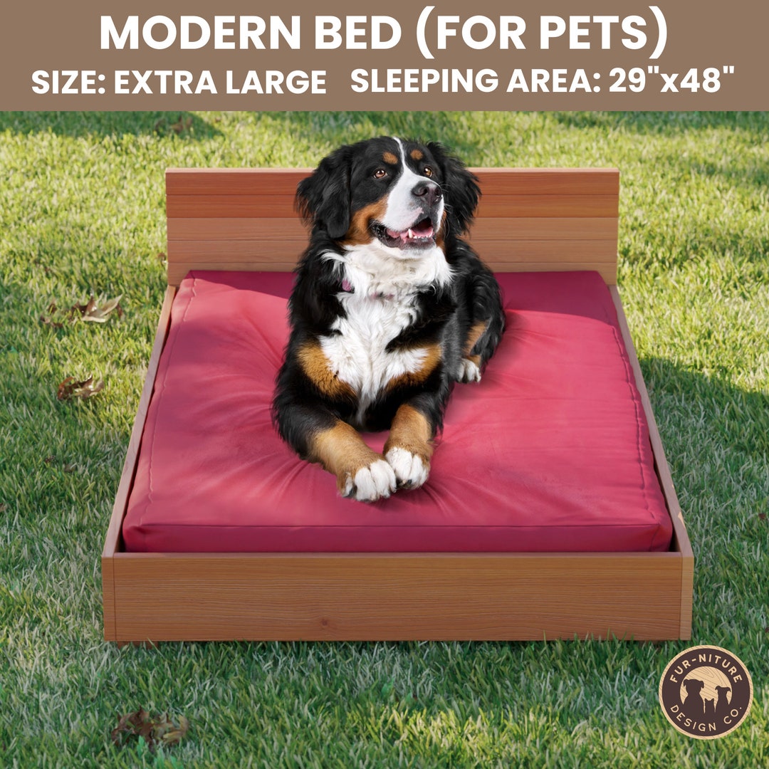 Dog Bed Plans, DIY Dog Bed Build Plans, DIY Pet Bed, Small Cute Dog ...