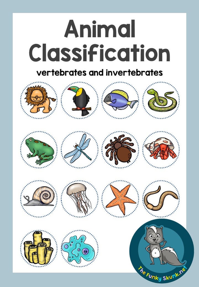 Animal Classifications Picture Book for Kids or Class Room - Etsy