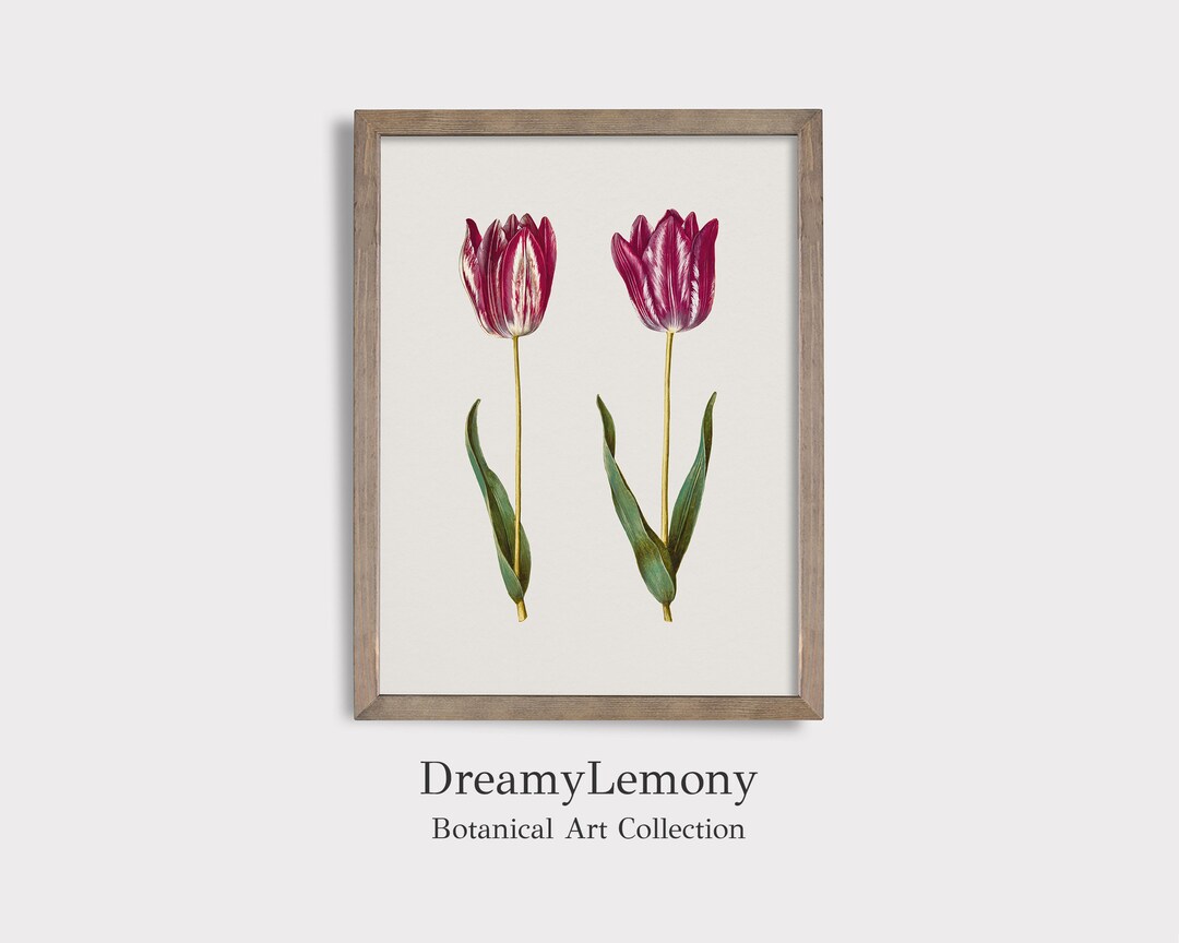 Garden Tulip Art Print Floral Wall Art Botanical Decor Tulip Wall Art ...