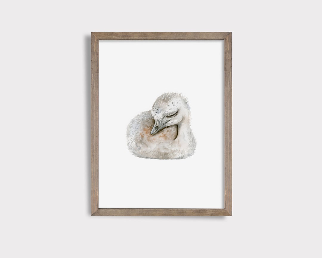 Sleeping Emu Print: Australian Nursery Wall Art (digital Download) - Etsy