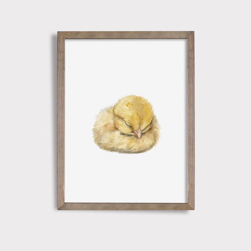 Chick Print - Etsy