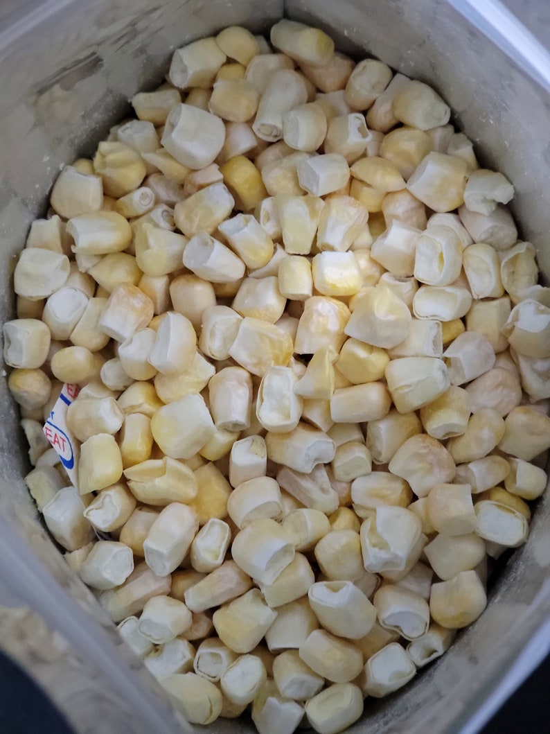 Freeze-dried Corn Kernels Yellow - Etsy
